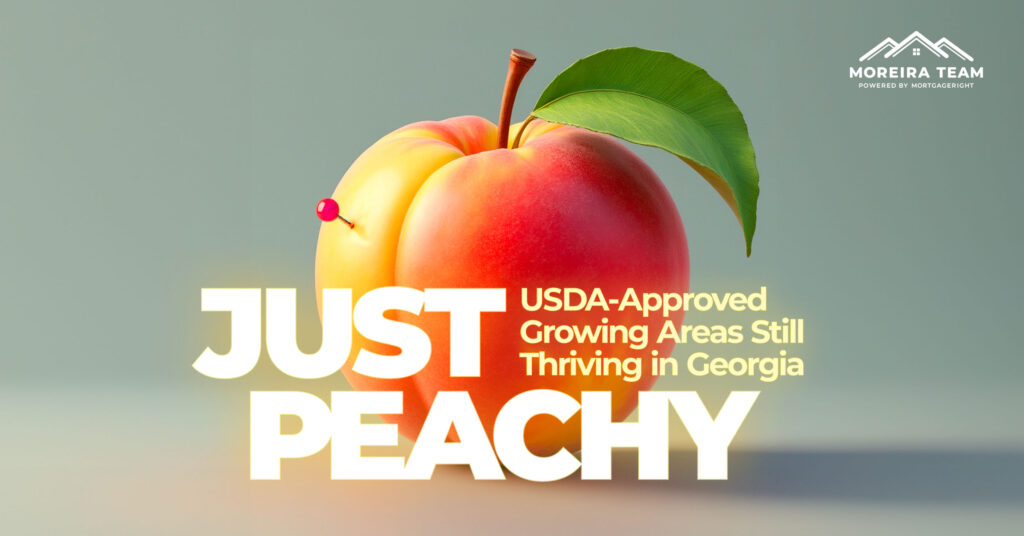 Just Peachy: USDA-Approved Growing Areas Still Thriving in Georgia ...